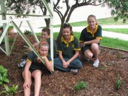 Design Technology - Food & Fibre